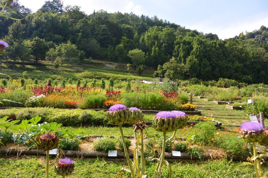 What to see in Bergamo, 3 special places | ItaloBlog
